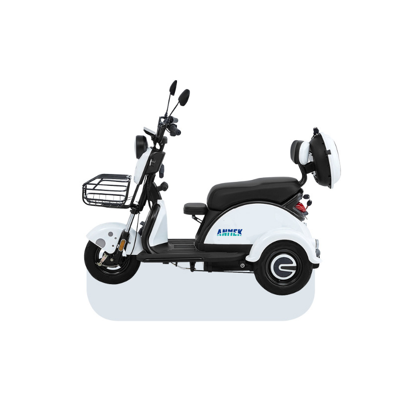 Comparing Electric Tricycle Models: Features That Matter – China ...